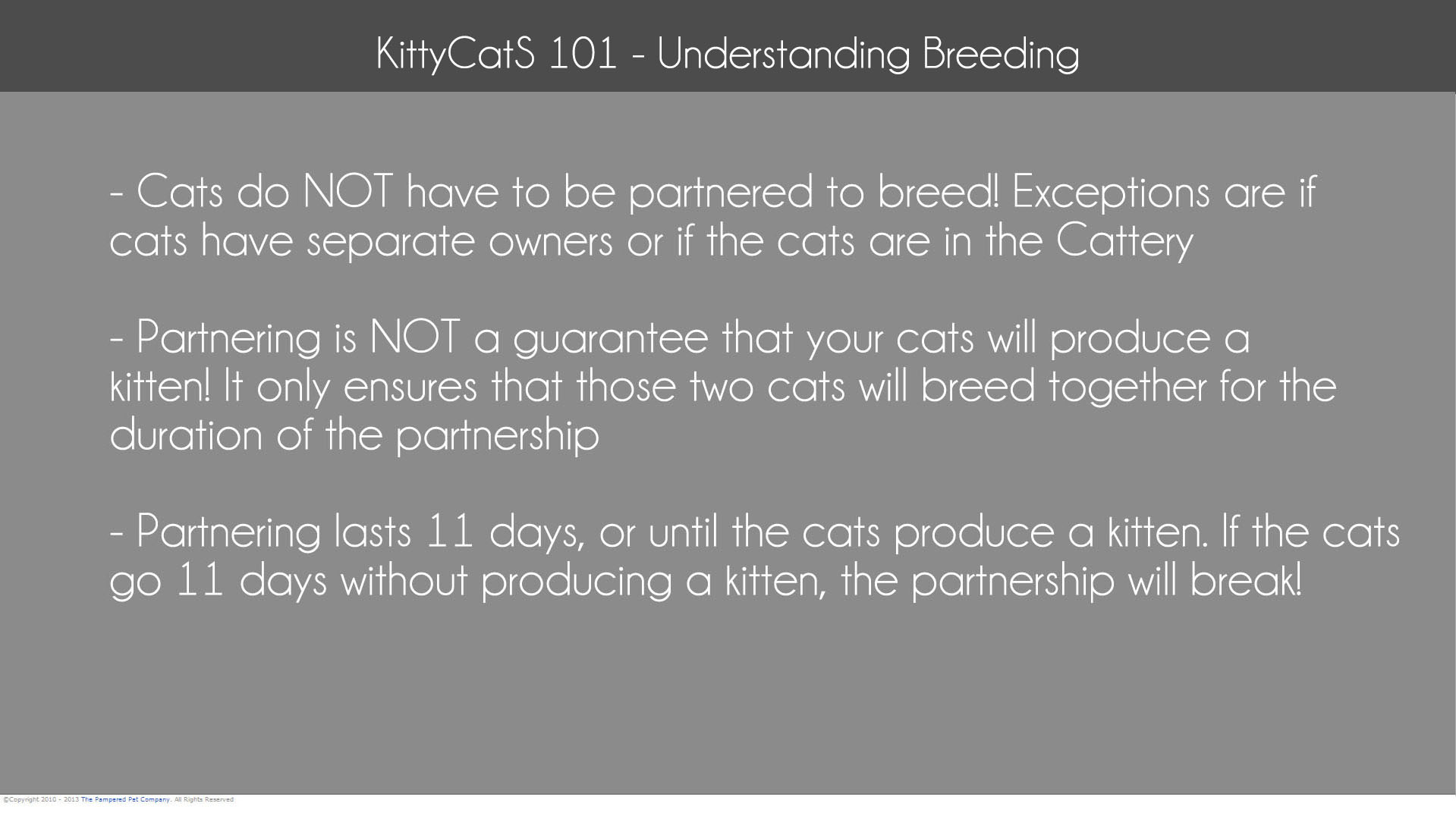 Getting Started With KittyCatS